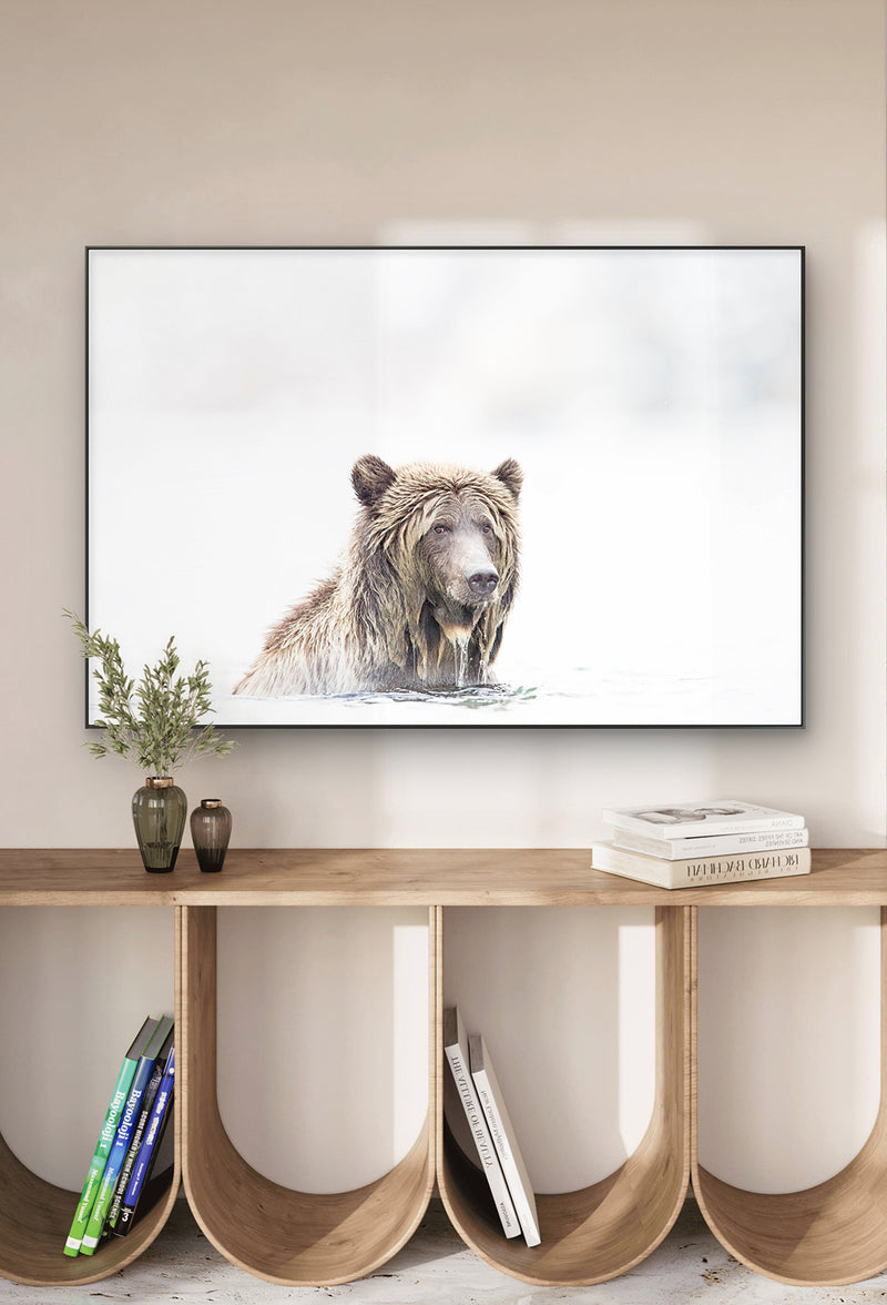 Image Gallery - Brandon T. Brown