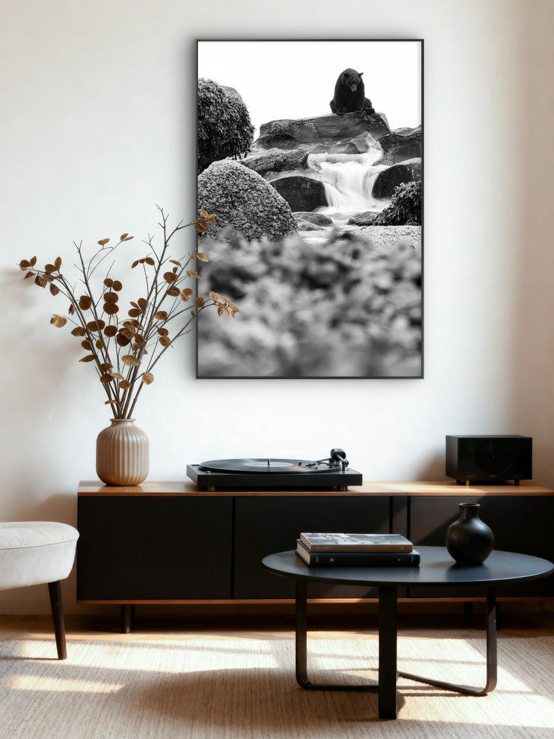 Image Gallery - Brandon T. Brown