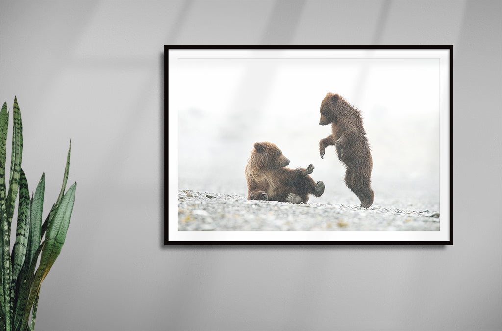 Image Gallery - Brandon T. Brown