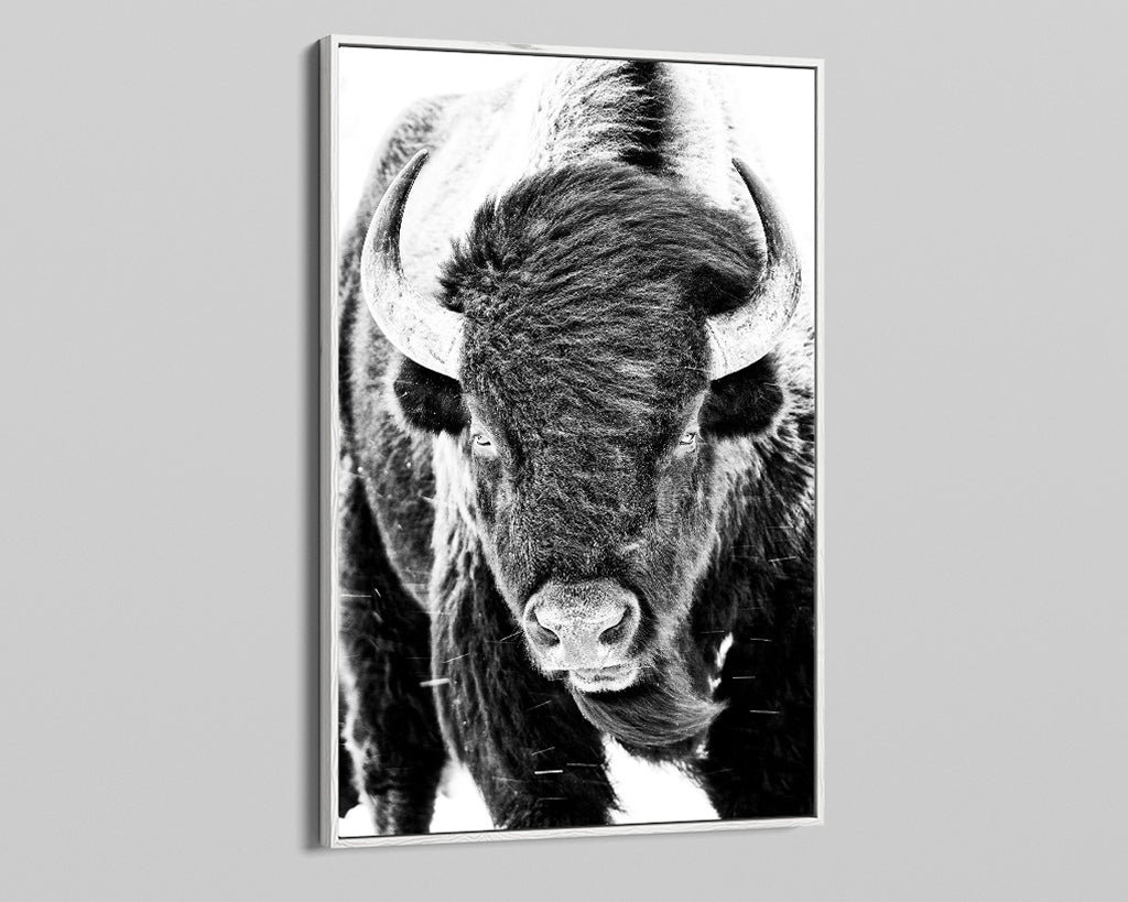 The Protector - Brandon T. Brown
