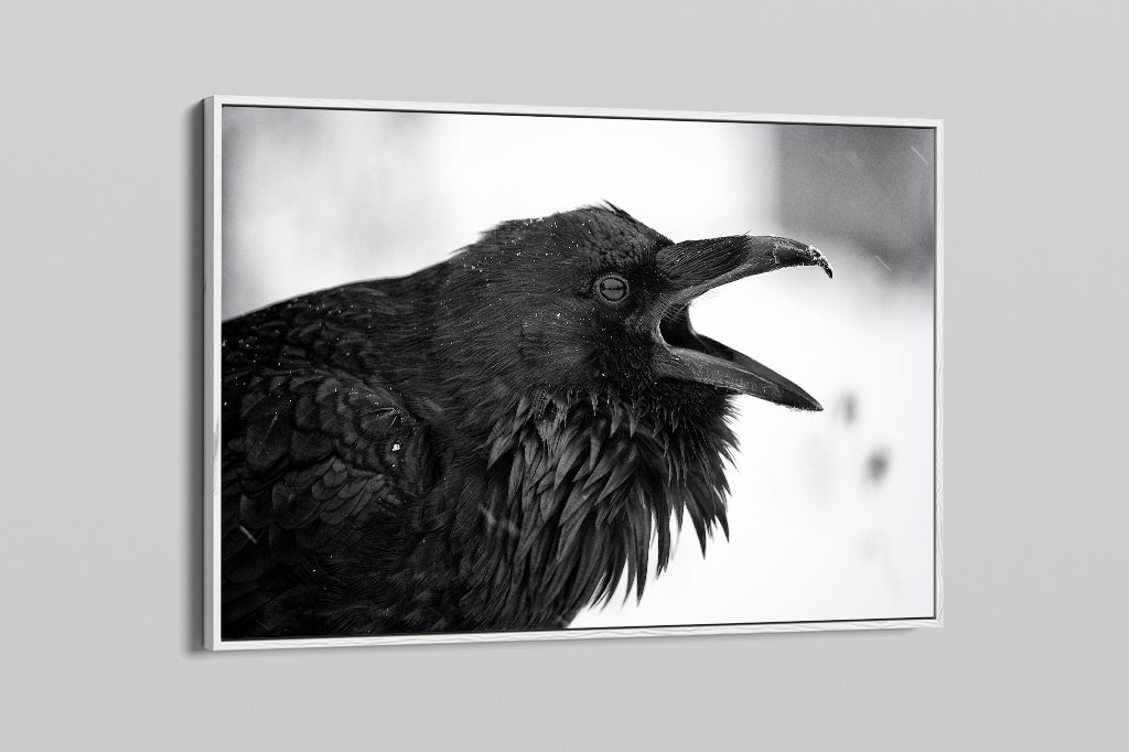 Raven Speak - Brandon T. Brown