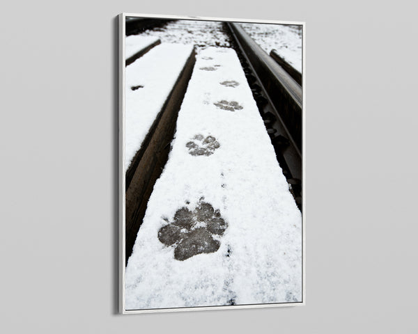 Wolf Tracks (left by 'The Black') - Brandon T. Brown