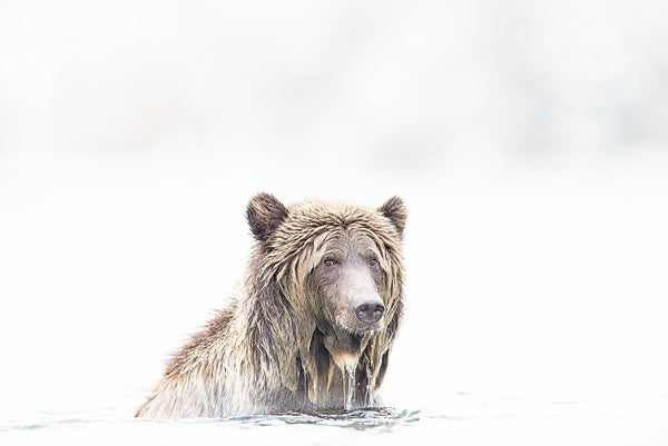 Image Gallery - Brandon T. Brown